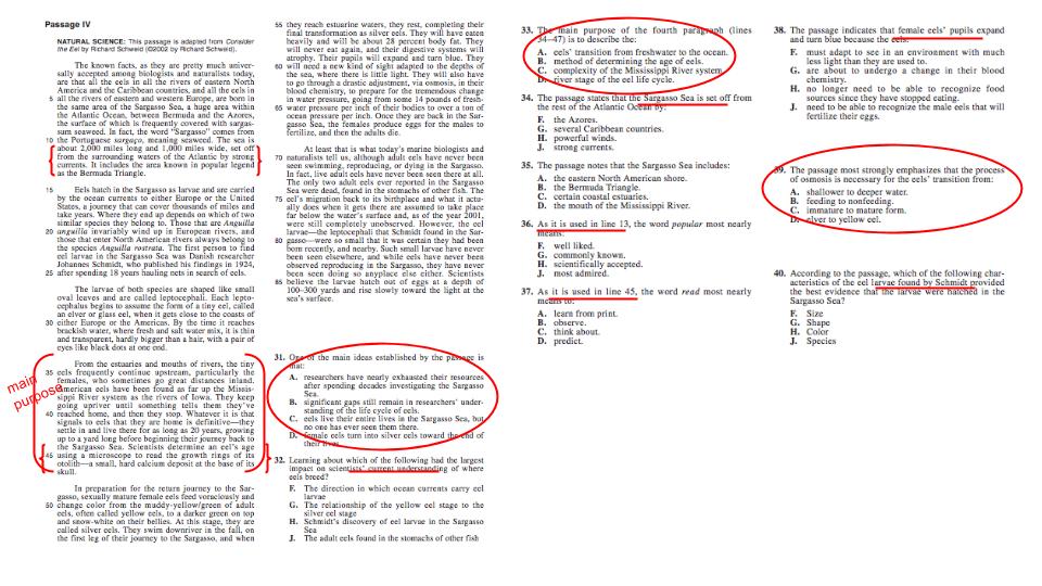 The Best Way to Approach the ACT Reading Passage