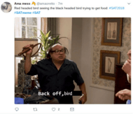 The 30 Best SAT Memes to Get You Through Test Prep