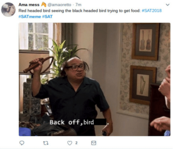 The 30 Best SAT Memes to Get You Through Test Prep