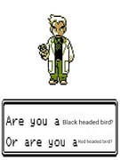 The 30 Best SAT Memes to Get You Through Test Prep