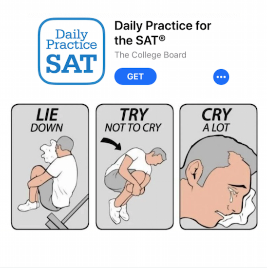 The 30 Best SAT Memes to Get You Through Test Prep · PrepScholar