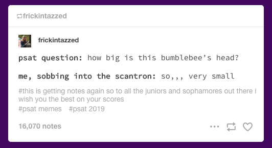 The 30 Best PSAT Memes to Destress During Test Prep