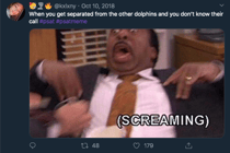 The 29 Best PSAT Memes to Destress During Test Prep · PrepScholar