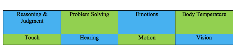 The 3 Major Parts of the Brain and What They Do · PrepScholar