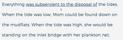 The Best Way to Study ACT Vocabulary