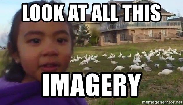 What Is Imagery? A Complete Guide · PrepScholar