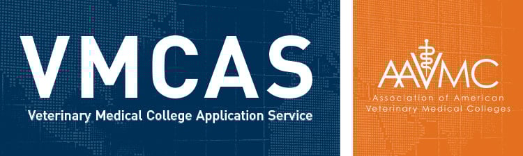 How to Become a Veterinarian: Key Steps and Qualities