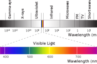 How to Make Orange in 2 Easy Steps