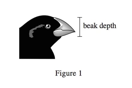 Factual Questions in ACT Science: How to Read Graphs, Tables, and Data