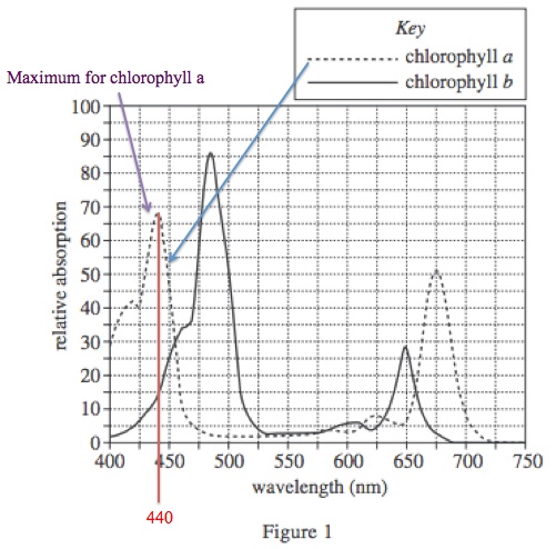 The Hardest ACT Science Questions and Strategies to Solve Them ...