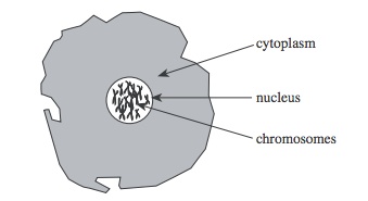 Conflicting Viewpoints in ACT Science: Strategies and Tips · PrepScholar