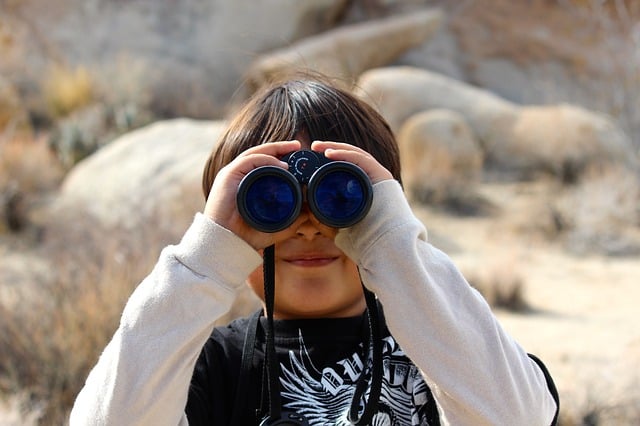 Interdisciplinary Studies: What Is It? Should You Get a Degree?