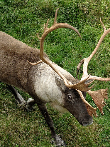 6 SAT Essay Examples to Answer Every Prompt