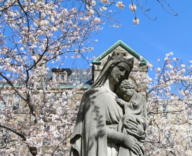 The 11 Best Catholic Colleges: Find the Right One for You