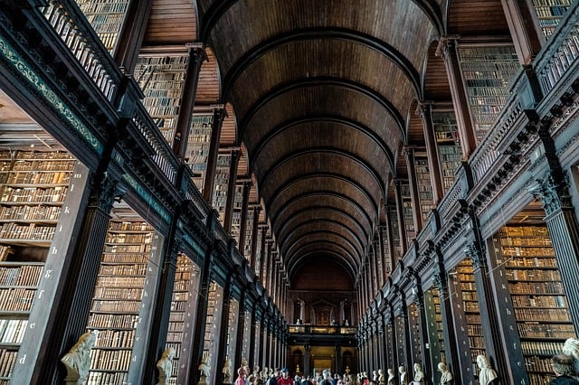 Interdisciplinary Studies: What Is It? Should You Get a Degree?
