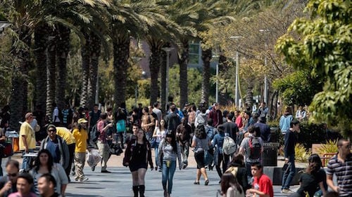 Do You Need to Go on College Tours? 4 Reasons to Visit