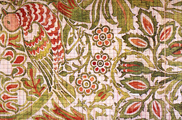 10 Popular Types: Free Printable Graph Paper