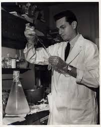 The Complete IB Physics Syllabus: SL and HL