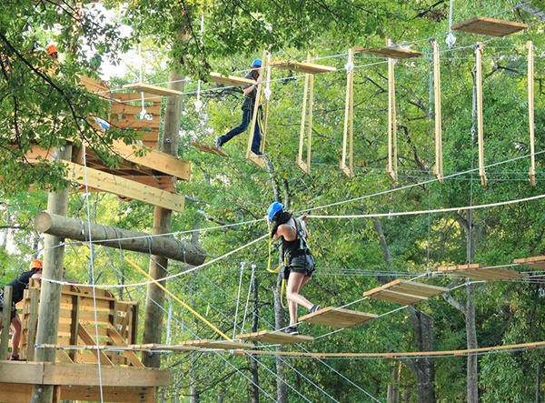 How to Write Perfect ApplyTexas Essays