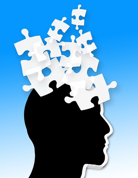 The Best AP Psychology Study Guide · PrepScholar