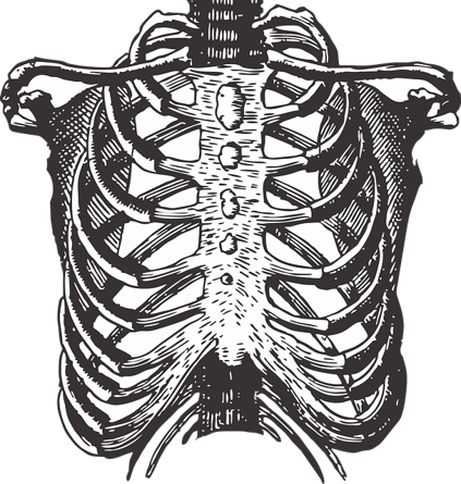 71 Body Parts in Spanish and How to Talk About Them · PrepScholar
