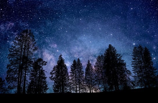 4 Tips to Write Stellar Emory Essays