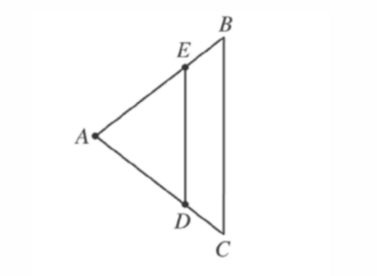 Triangles on SAT Math: Geometry Strategies and Practice Problems