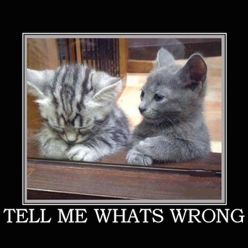 3 Examples of Bad Recommendation Letters from Teachers