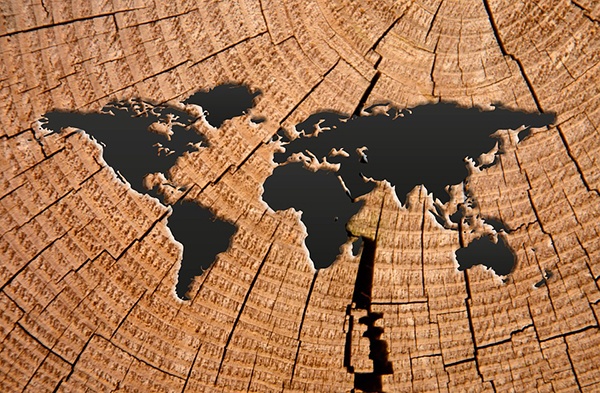 Ultimate Study Guide: SAT World History Subject Test