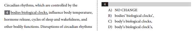 The 4 SAT Sections: What They Test and How to Do Well