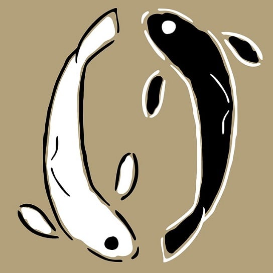 Yin and Yang: What Does the Symbol Mean?