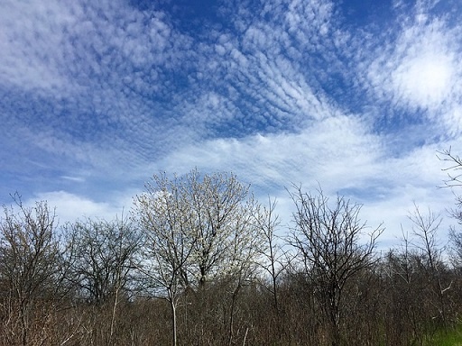 How to Identify the 10 Different Types of Clouds