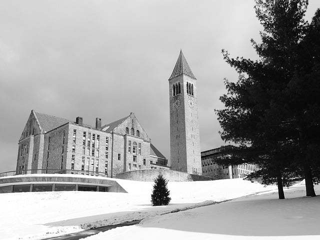 How to Get Into Cornell: 4 Expert Tips