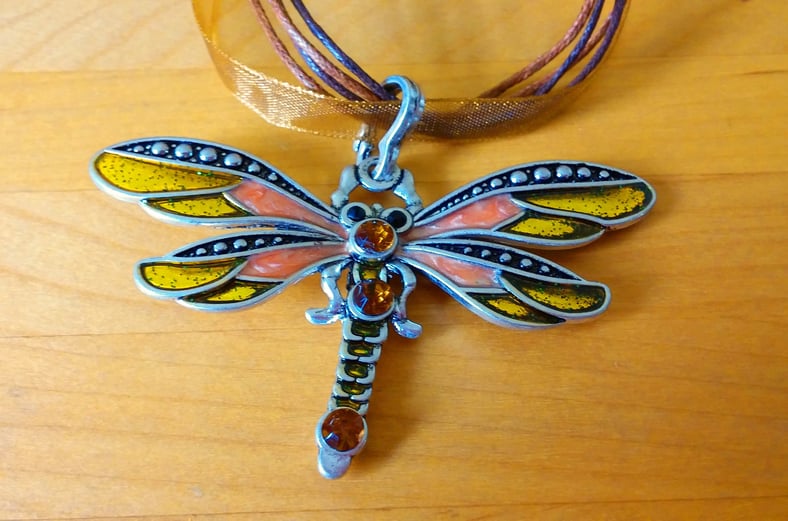 What Does the Dragonfly Symbolize? Unpacking Dragonfly Meaning