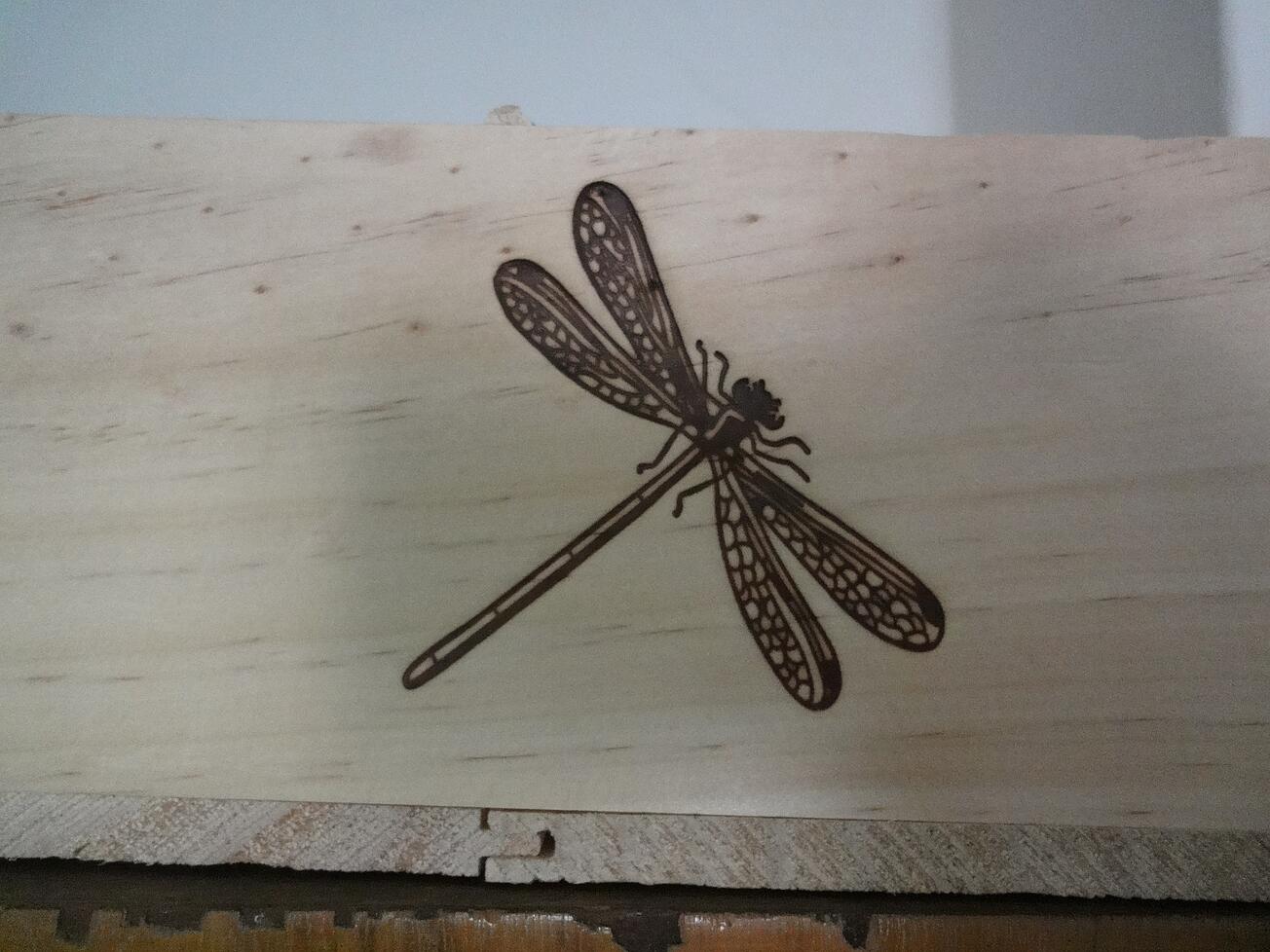 What Does The Dragonfly Symbolize Unpacking Dragonfly Meaning what-does-the-dragonfly-symbolize-unpacking-dragonfly-meaning