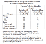 What Is SAT Evidence-Based Reading and Writing?