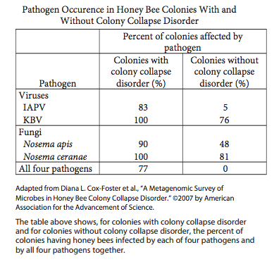 What Is SAT Evidence-Based Reading and Writing?