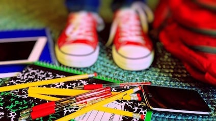 What Is an AP Scholar? Advantages and Requirements