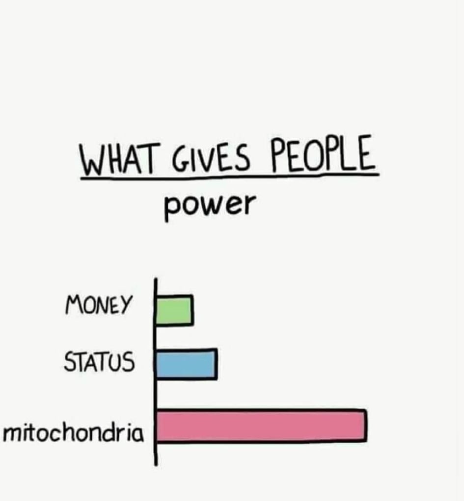 The Complete IB Biology Syllabus: SL and HL · PrepScholar