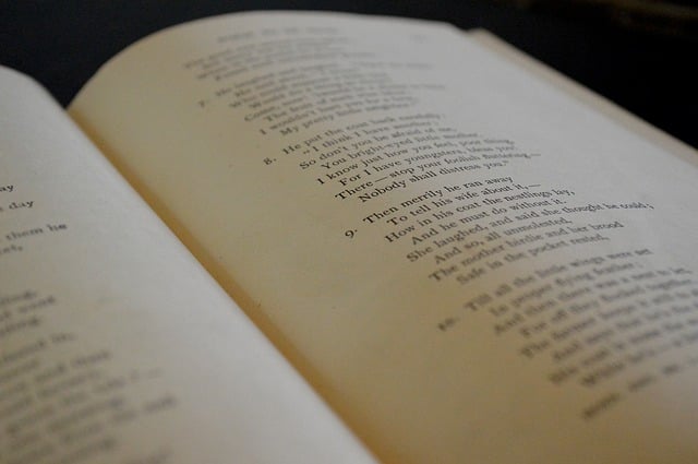 10 Famous Sonnet Examples, Explained · PrepScholar