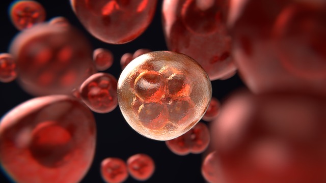 What Is Mitosis? A Complete Guide to Mitotic Cell Division