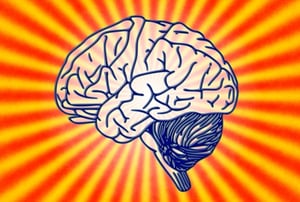 The Best AP Psychology Study Guide · PrepScholar