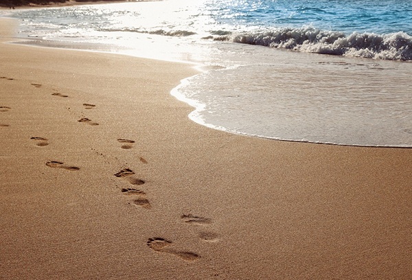 Command of Evidence: 5 Key SAT Reading Strategies