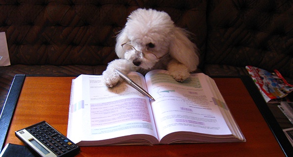 How Long Should I Study For The SAT 6 Step Guide how-long-should-i-study-for-the-sat-6-step-guide