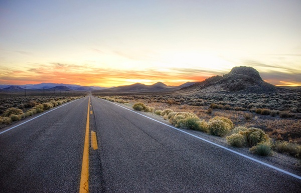 Should You Really Go to College Out of State? Pros and Cons