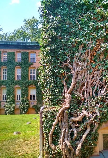 Everything You Need to Know About Princeton University · PrepScholar