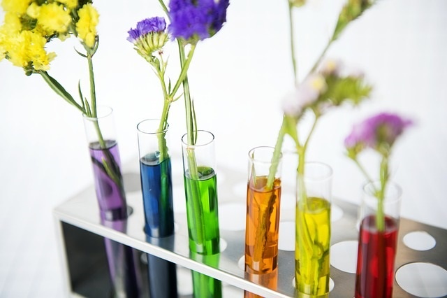 37 Cool Science Experiments for Kids to Do at Home