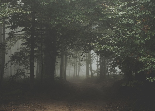 Most Important Themes in The Crucible, Analyzed