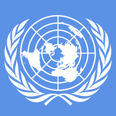 What Is Model UN? 4 Reasons to Join · PrepScholar