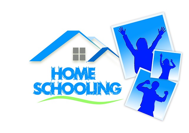 3 Great Options for Online Homeschooling Support